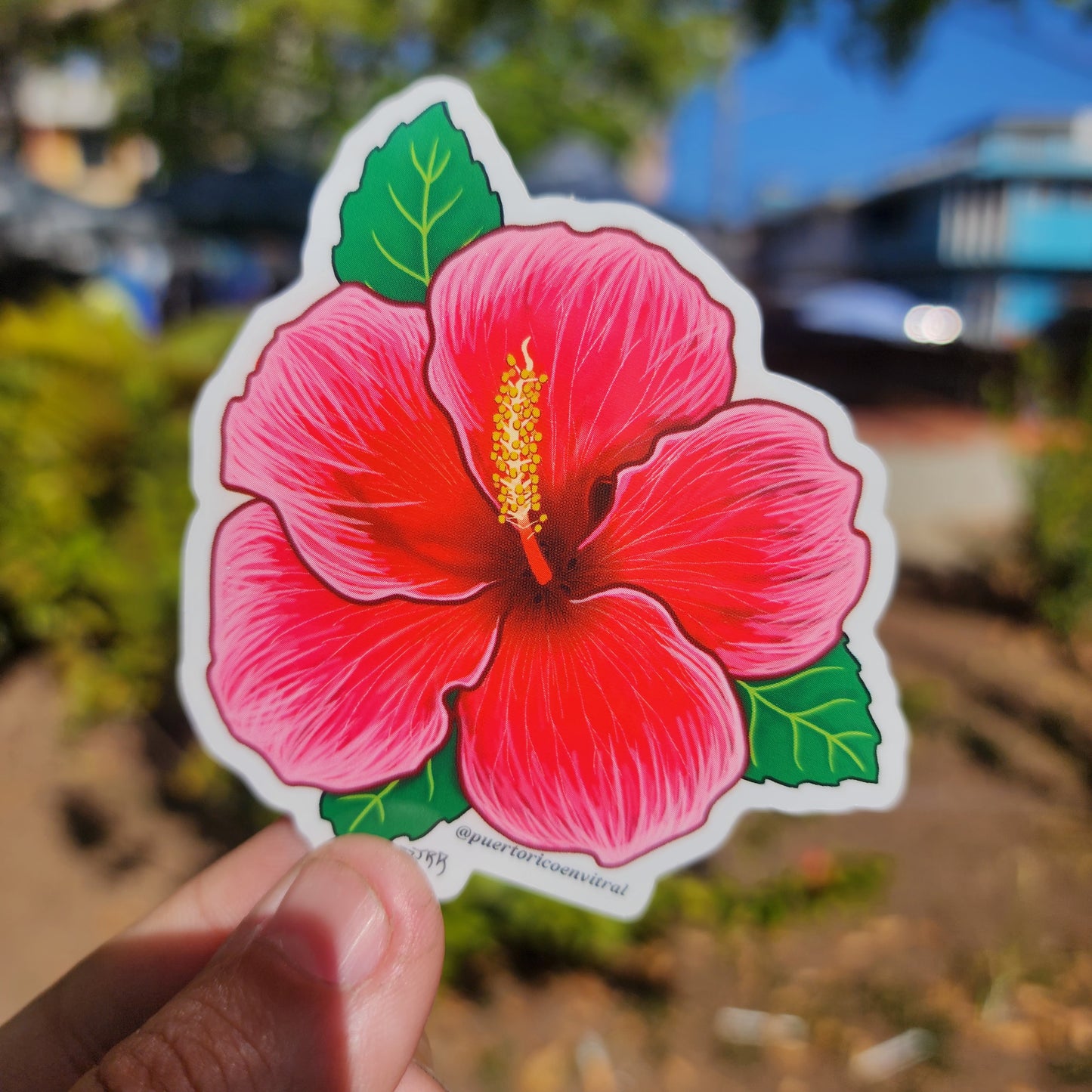 Flor de Maga (Sticker) – Puerto Rico en Vitral